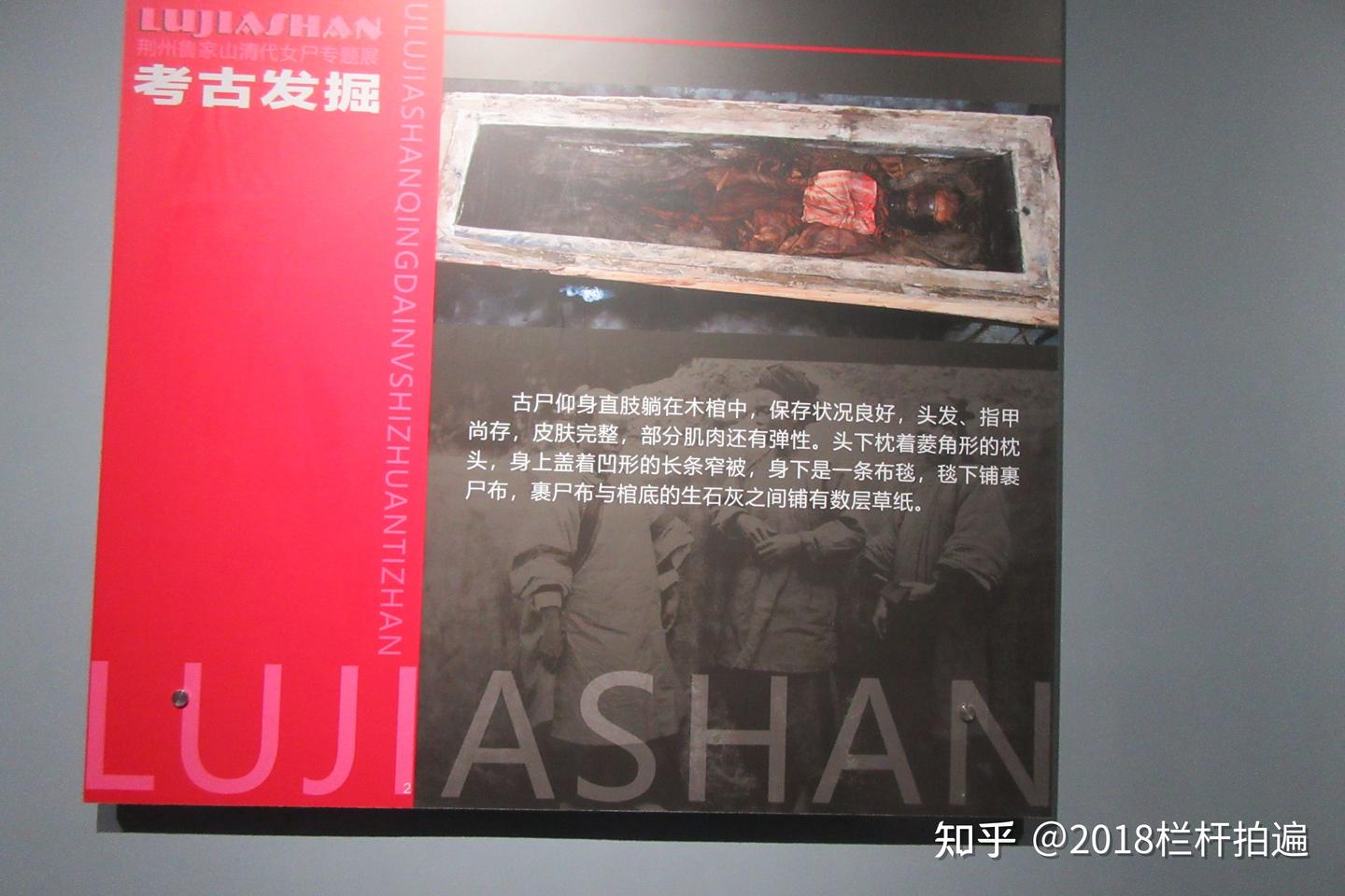荆州：“荆州博物馆”（6）【荆州鲁家山清代女尸专题展】 - 知乎