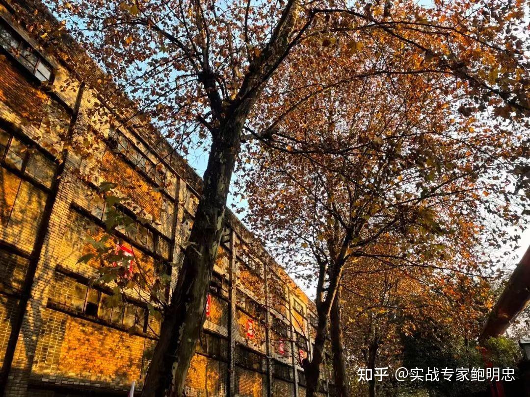 送给男人的忠告 知乎