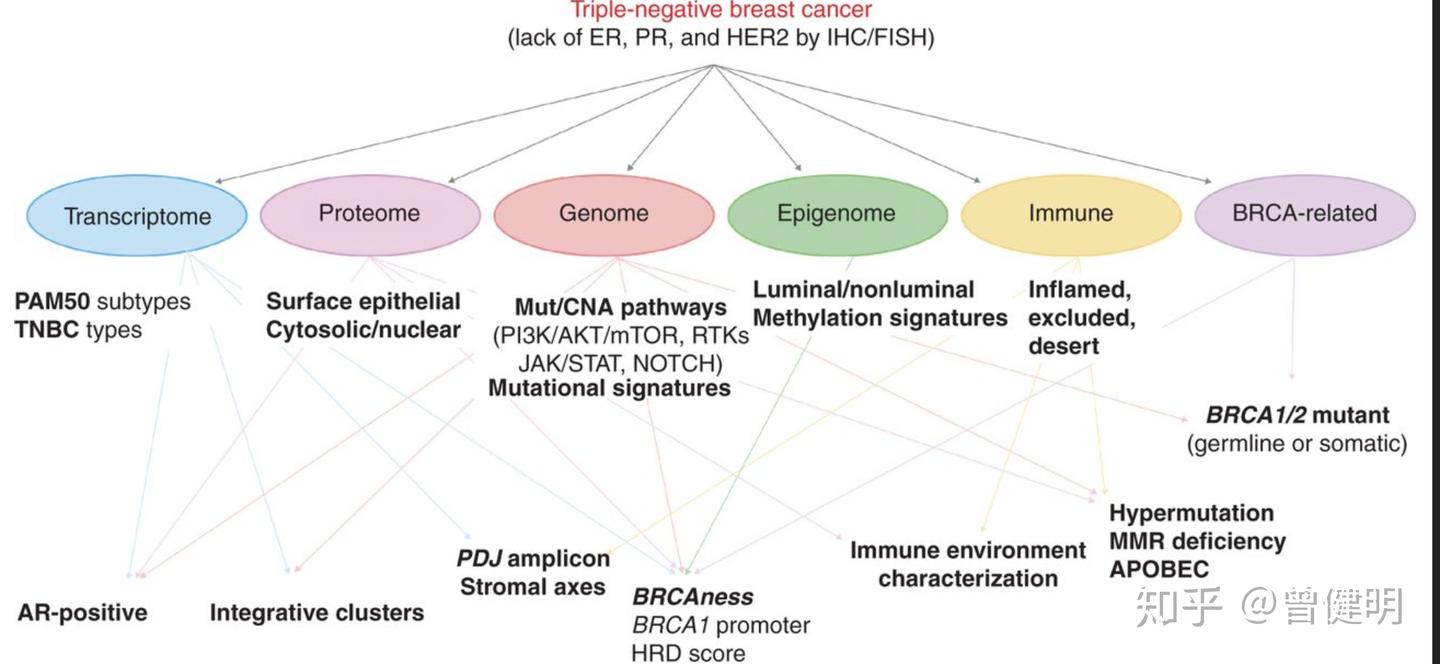 TCGA和METABRIC的TNBC病人数量到底是多少 - 知乎