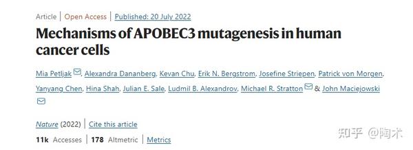 【Nature】癌症机制新突破：APOBEC3与内源性癌症突变 - 知乎