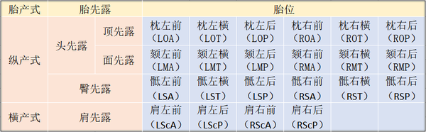胎位LOA、ROA究竟是好是坏？ - 知乎