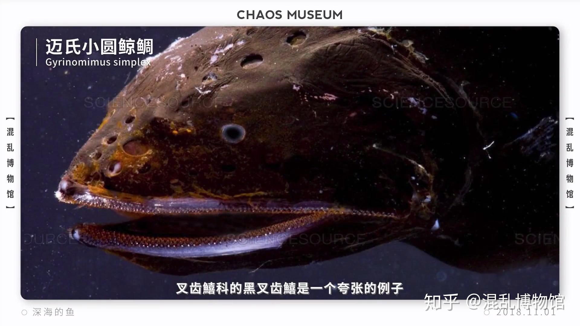 为什么深海生物有很多长相可怖? - 知乎