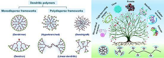 精选JACS/Angew 12篇：树枝状大分子的最新成果大盘点 - 知乎