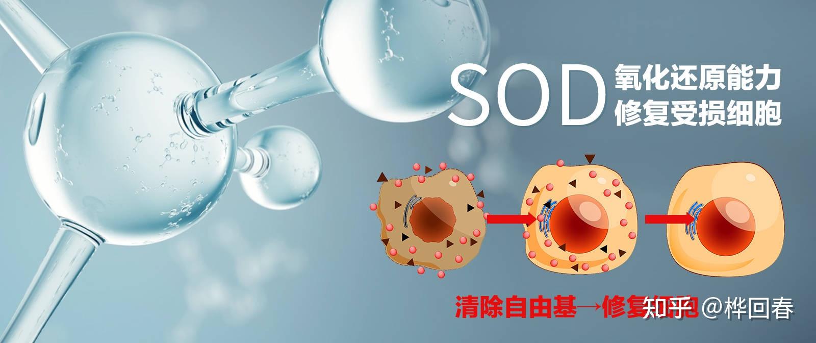 SOD的作用是什么该如何选择？ - 知乎