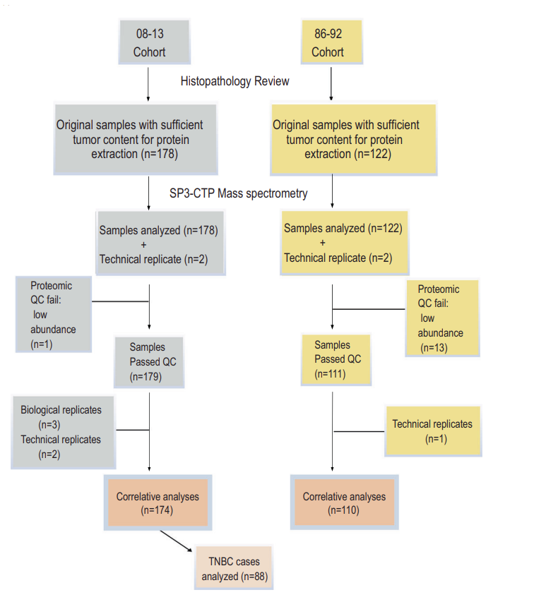 文献解读 | 蛋白质组学分析确定乳腺癌潜在生物标志物和治疗靶点 - 知乎