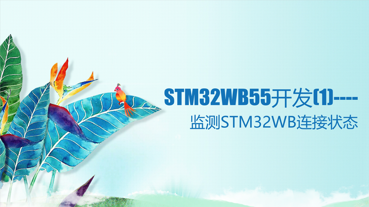 STM32WB55开发(1)----套件概述 - 知乎