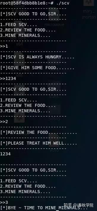 CTF必备技能丨Linux Pwn入门教程——stack canary与绕过的思路 - 知乎