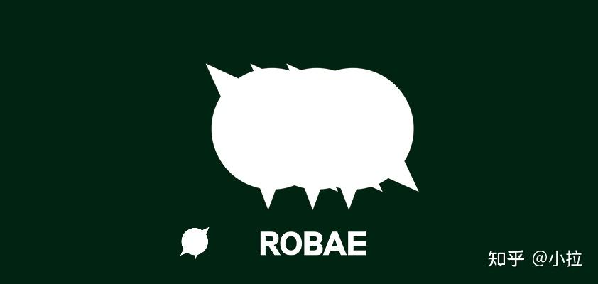 ROBAE | 先锋实验风尚：专业感与时尚感的完美交融 - 知乎