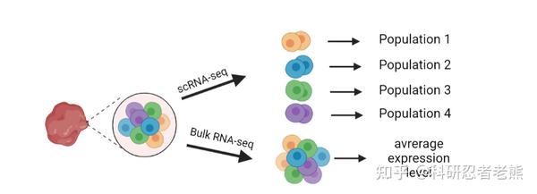 一文了解单细胞RNA测序原理 - 知乎