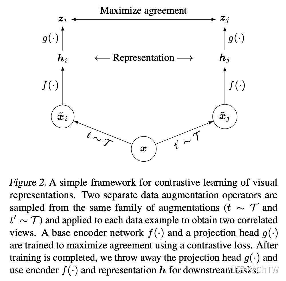 对比学习经典模型 - 知乎