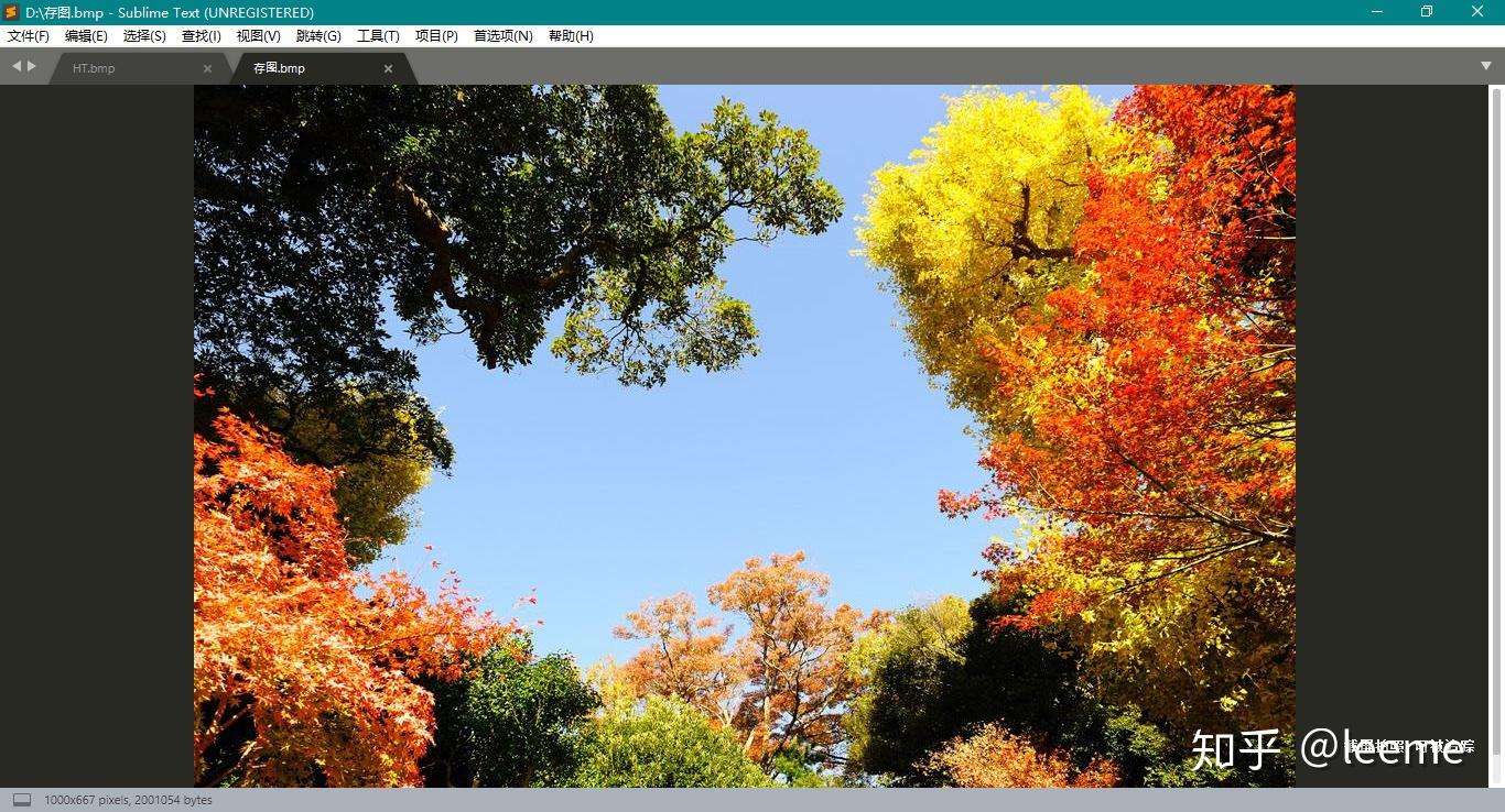 C++存储24和32位BMP图像数据 - 知乎