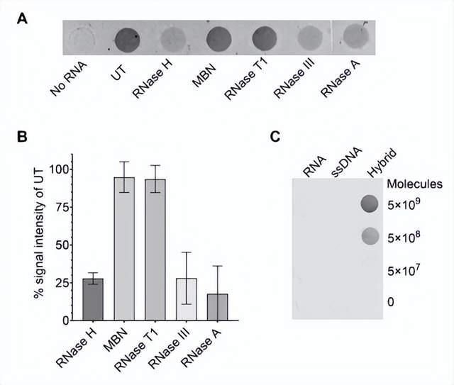 IVD新技术丨基于病原体核酸检测的ELISA方法 - 知乎