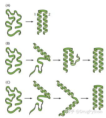 26《Protein Actions Principles and Modeling》-《蛋白质作用原理和建模》中文分享 - 知乎