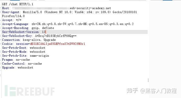 Websocket安全性分析 知乎