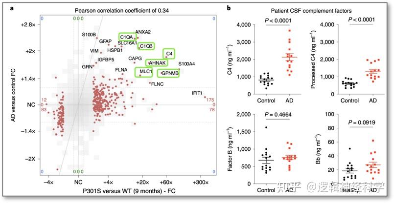 Nat Aging︱阿尔兹海默症小鼠神经胶质细胞通过补体途径参与突触清除 - 知乎
