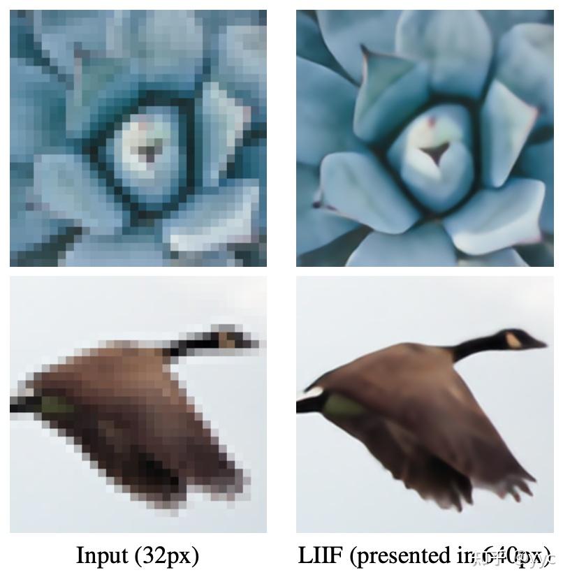 Implicit Neural Representation 隐式神经表示 - 知乎