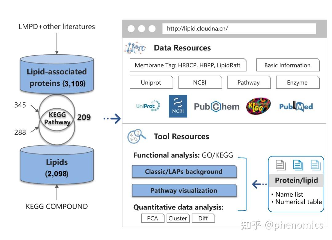 Phenomics | 上海生研院与北京携云启源合作开发人类脂代谢相关蛋白和脂质数据资源平台DBLiPro - 知乎