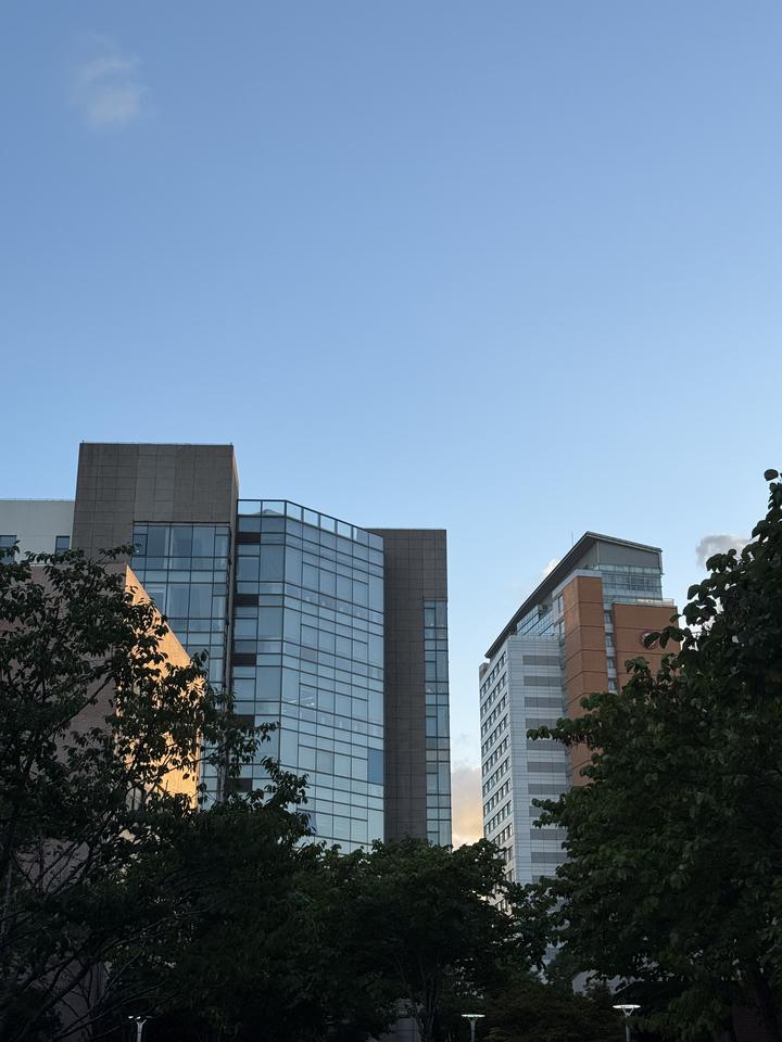 Local Projections, JEL 2025 - 知乎