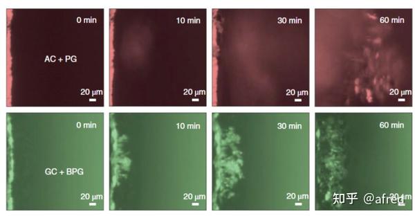 一种无负极钠电池(NMB)研究 - 知乎
