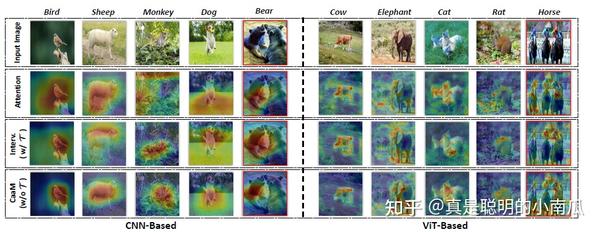 文献笔记 | 【ICCV 2021】Causal Attention for Unbiased Visual Recognition - 知乎