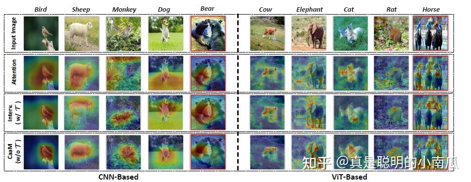 文献笔记 | 【ICCV 2021】Causal Attention for Unbiased Visual Recognition - 知乎