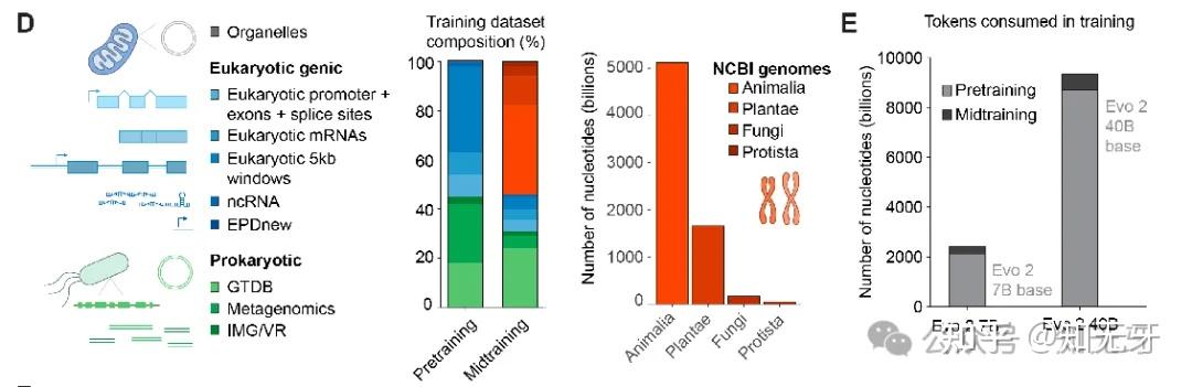 Evo2：跨生命领域的基因组“造物主”模型 - 知乎