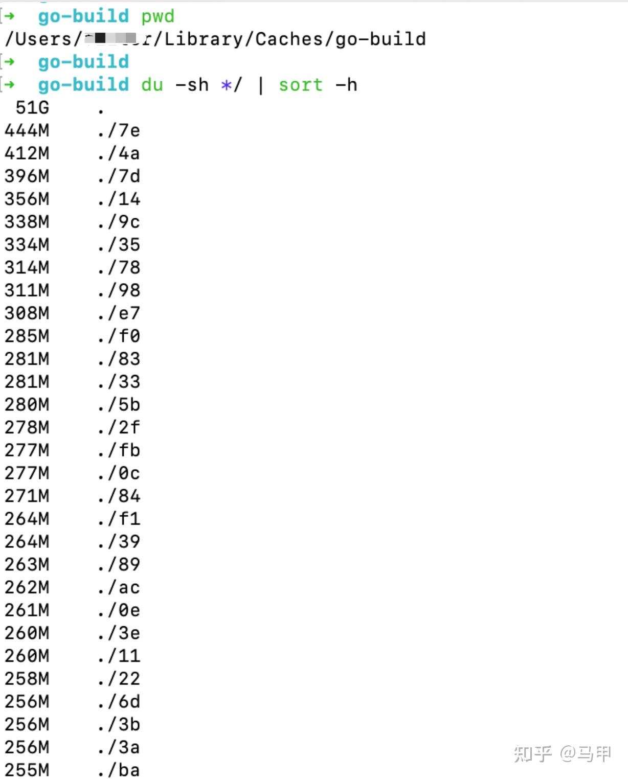 清理Go/Rust编译时产生的缓存 - 知乎