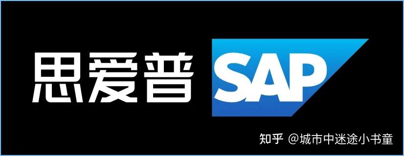 2024年做过的那些SAP项目 - 知乎