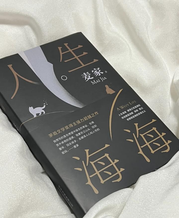 每日分享：麦家《人生海海》 知乎