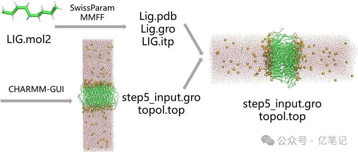 配体小分子与膜体系分子动力学模拟：CHARMM-GUI构建脂质双分子层，SwissParam生成小分子力场 - 知乎