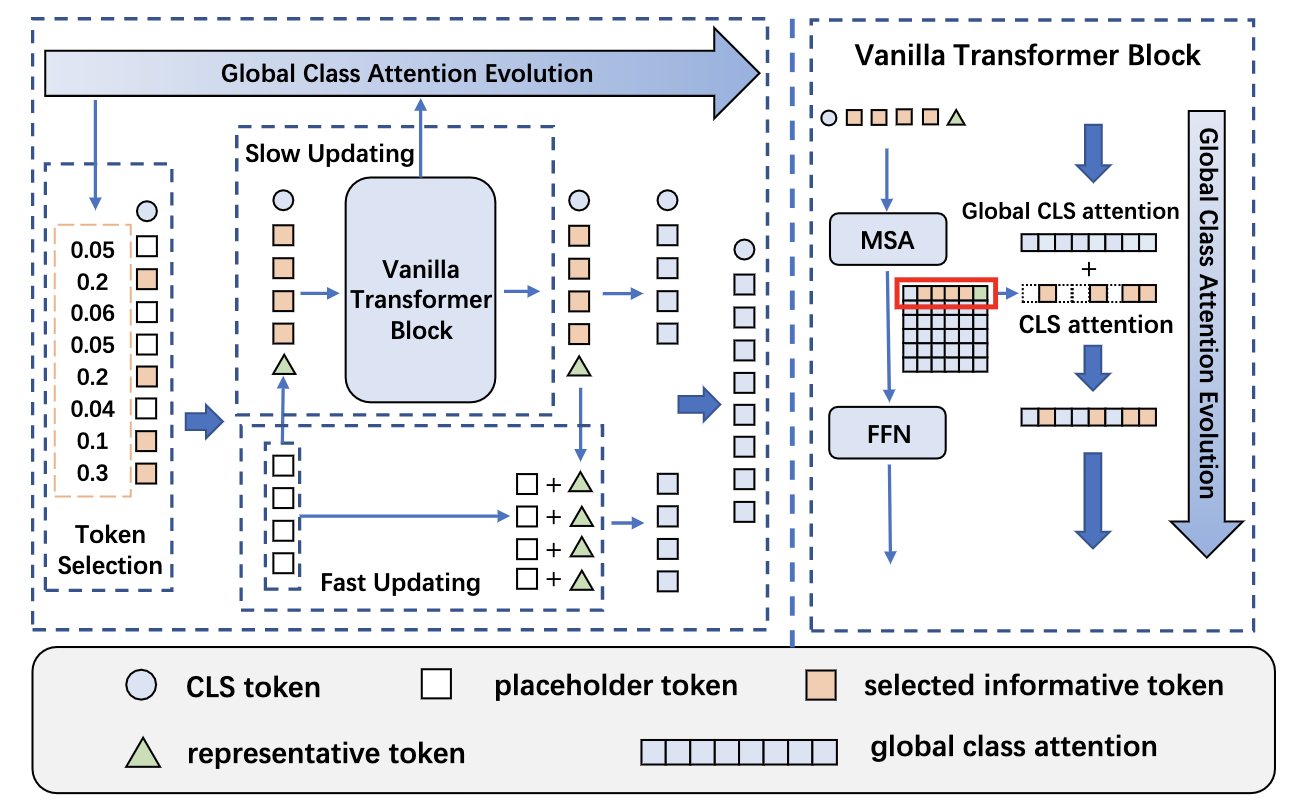 Vision Transformer in CV - 知乎