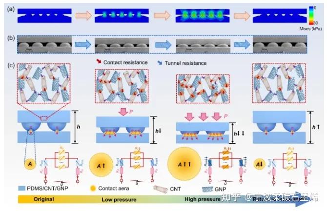 沈航《CEJ》：3D导电碳纳米管/石墨烯-PDMS压力传感器，用于健康监测、可穿戴设备等 - 知乎