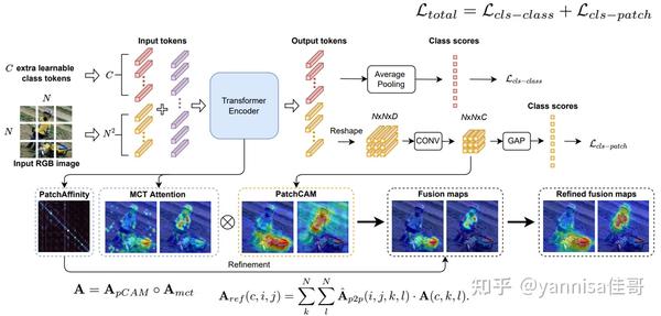 MCTformer:Multi-class Token Transformer for Weakly supervised Semantic ...