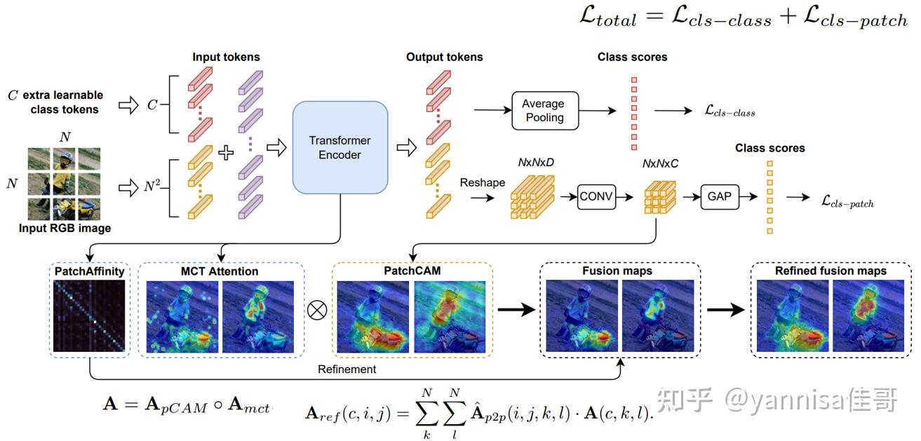 MCTformer:Multi-class Token Transformer for Weakly supervised Semantic Segmentation(CVPR2022) - 知乎