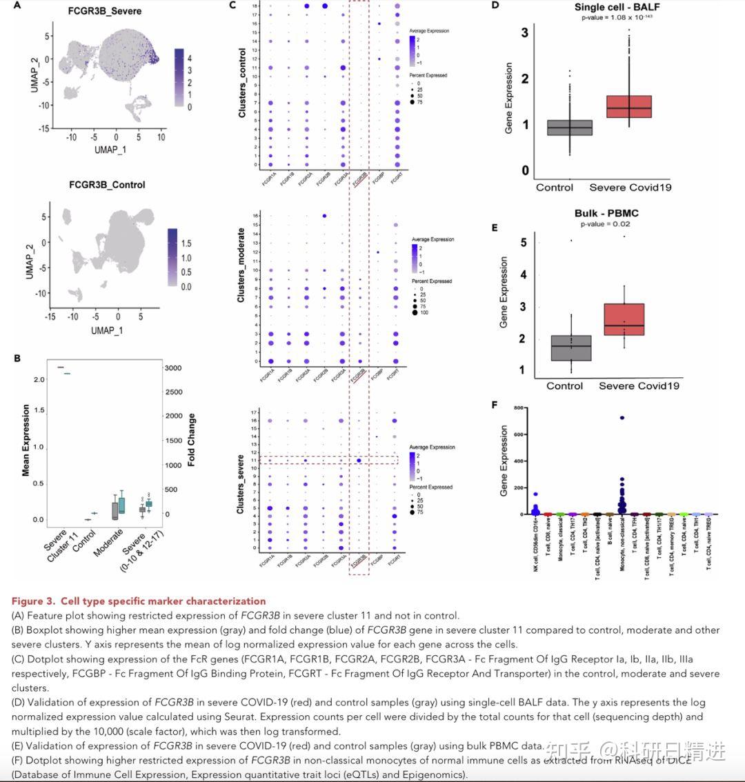 iScience丨单细胞转录组鉴定出FCGR3B 在重症新冠患者中上调 - 知乎