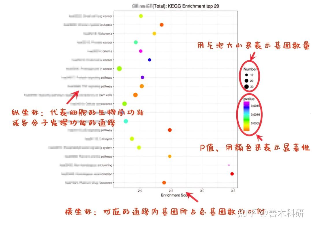 读文献先读图：气泡图怎么看？ - 知乎