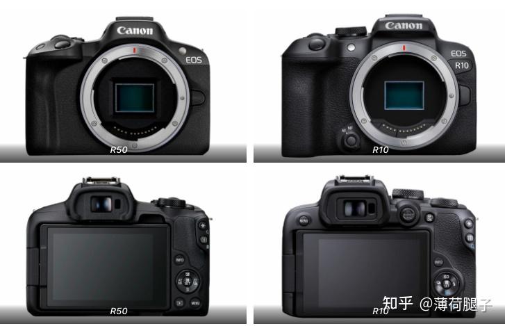 新手选择佳能r10还是r50？ - 知乎