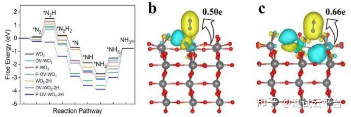 ACS Catal.: 质子插层协同杂原子掺杂，提高eNRR活性并抑制HER - 知乎