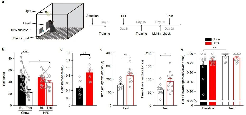 小布解读 | 高热量食物吃到停不下来该怪谁？aPVT脑区小胶质细胞介导强迫性进食“惹的祸” - 知乎