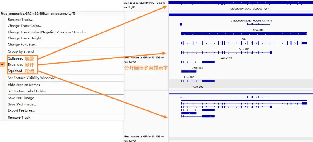 【干货】IGV使用手册 - 知乎