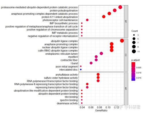 TCGA|GEO可视化分析第2篇---KEGG|GO分析大全 - 知乎