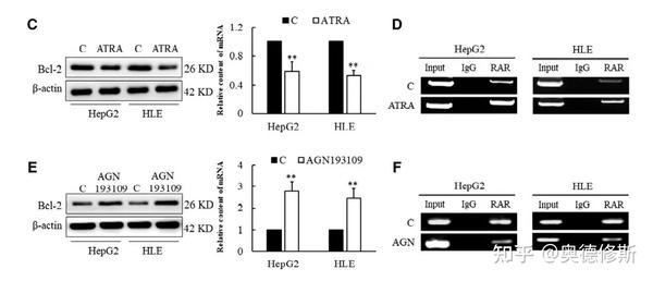 CUT&Tag3.0——让Chip-seq再简单一点！ - 知乎