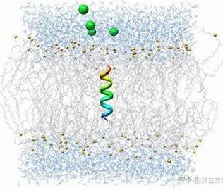 分子动力学模拟结果分析之MDAnalysis实例1---RMSD计算 - 知乎