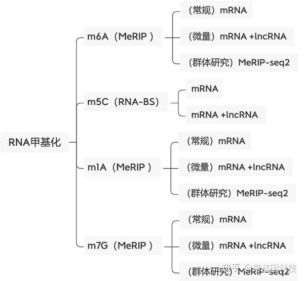 MeRIP seq m6A Cell Rep merip-seq-m6a-cell-rep
