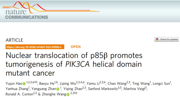 Nat Commun︱王振和/郝宇钧团队发现肿瘤发生新机制：核定位的p85β增强PIK3CA螺旋结构域突变细胞的肿瘤发生 - 知乎