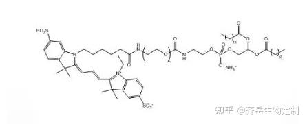 DSPE-PEG-CY3/CY5/CY5.5/CY7/CY7.5 荧光标记 - 知乎