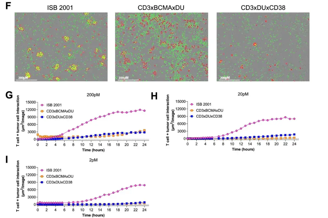 Ichnos Glenmark于《Nature Cancer》发布首款BCMA/CD38/CD3三特异性抗体ISB 2001的临床前研究数据 - 知乎