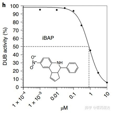 白血病潜在first-in-class新药——BAP1抑制剂 | Nature子刊最新成果 - 知乎