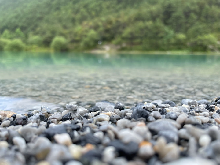 [文献阅读] The PGM-index: a fully-dynamic compressed learned index with ...