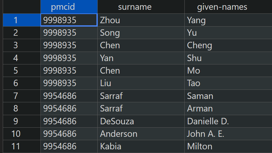 Pubget chatgpt pubget-chatgpt